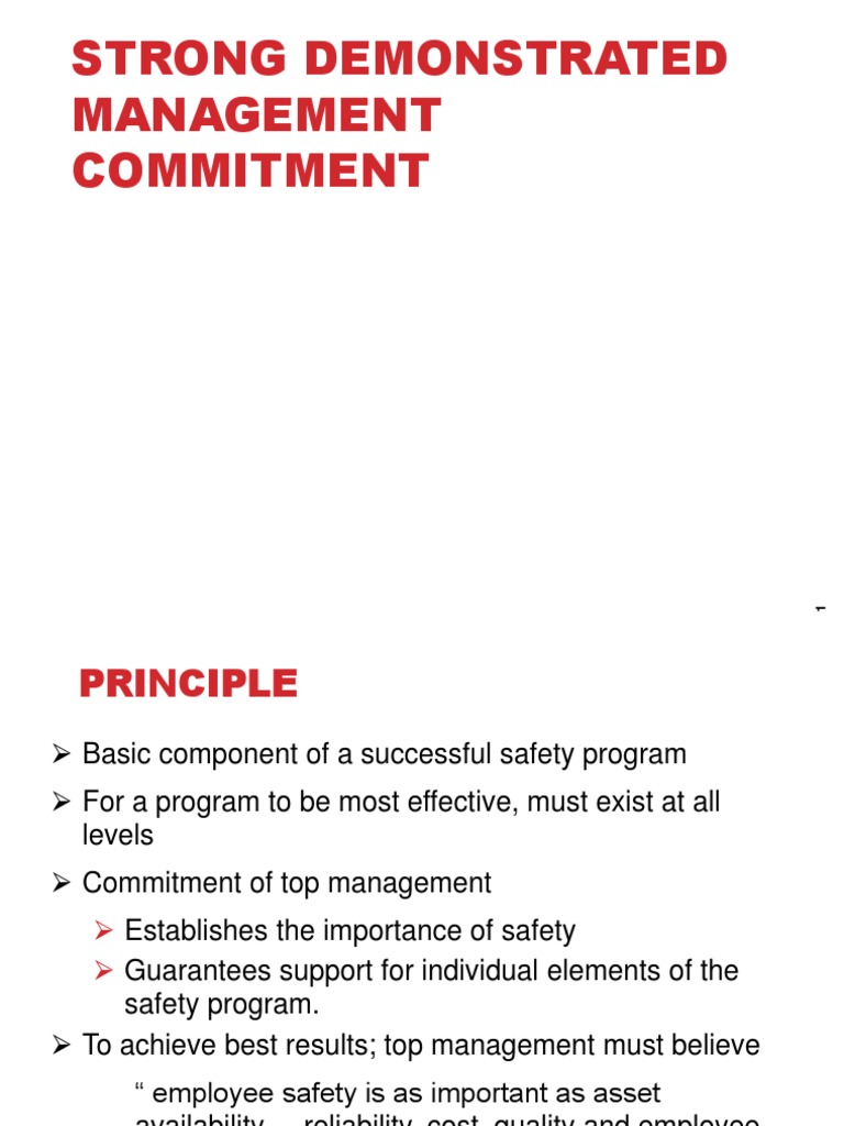 Demonstrating Strong Management Commitment to Safety | PDF | Safety | Audit