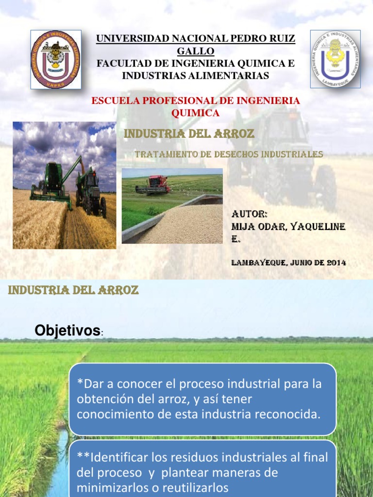 Tratamiento y aprovechamiento de residuos de la industria arrocera | PDF | Arroz | Incineración