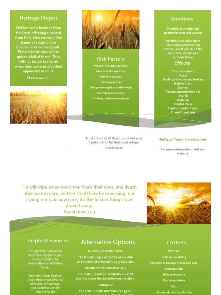 Infertility Support and Resources Guide | PDF