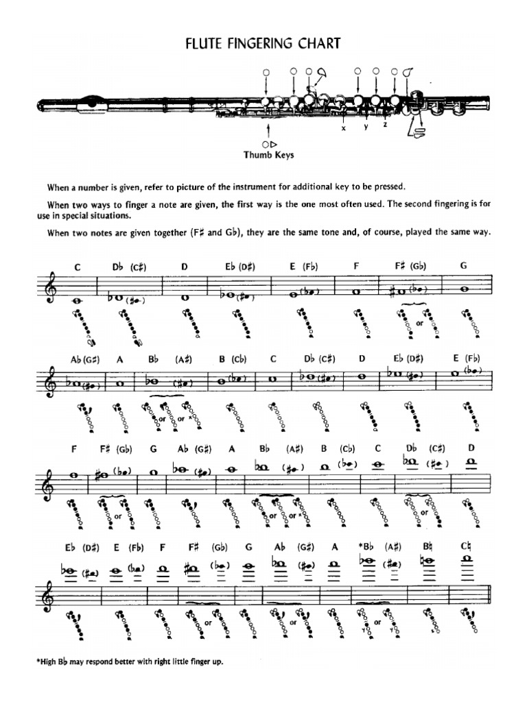 Flute PDF | PDF