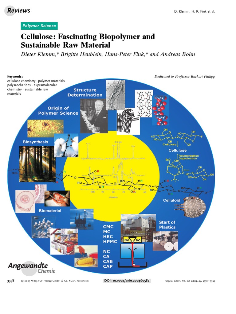 Cellulose - Fascinating Biopolymer and Sustainable Raw Material | PDF ...