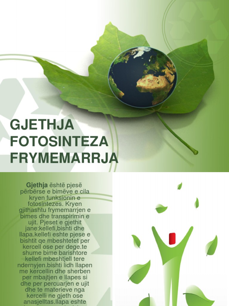 GJETHJA | PDF