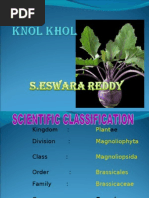 Extended BBCH Scale for Plant Growth | PDF | Seed | Germination