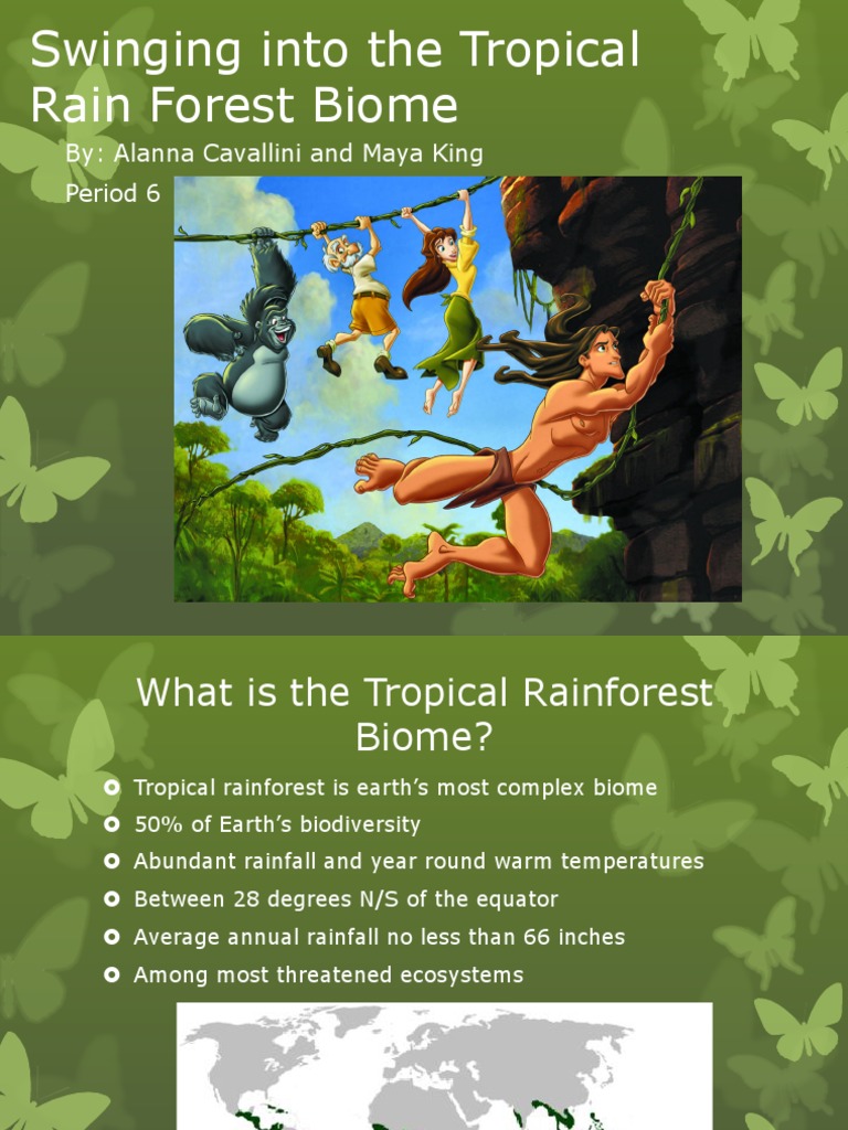 Tropical Rain Forest Biomes | PDF | Rainforest | Forests