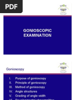Papilledema Grading System (Frisen Scale) | PDF
