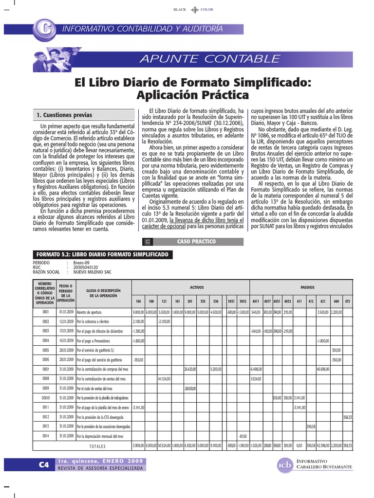 El Libro Diario de Formato Simplificado (Aplicación Práctica) 111 | PDF ...