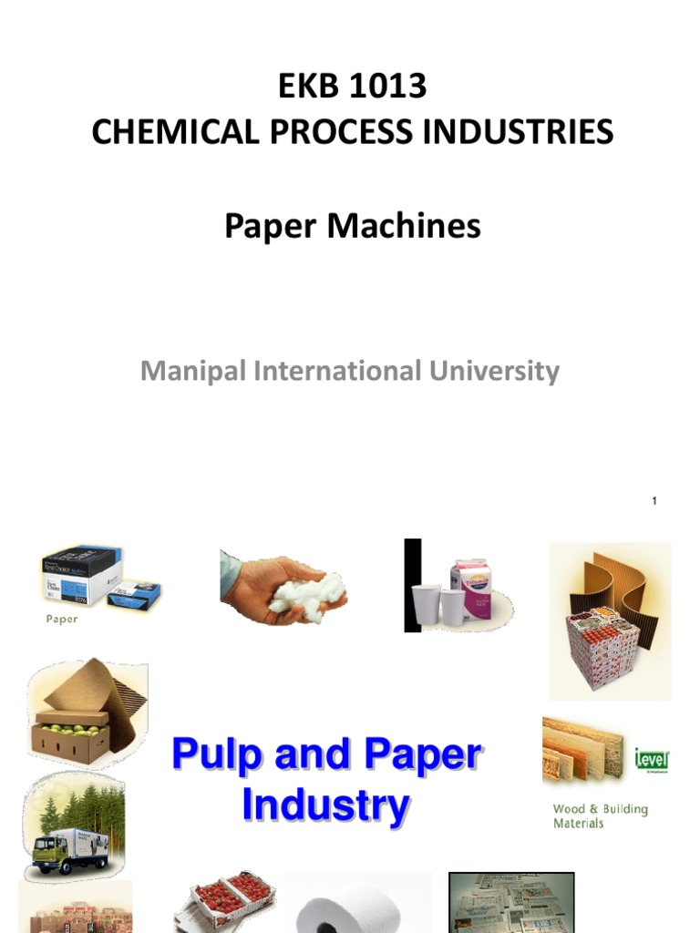 Pulp and Paper Intustry | Pulp (Paper) | Paper