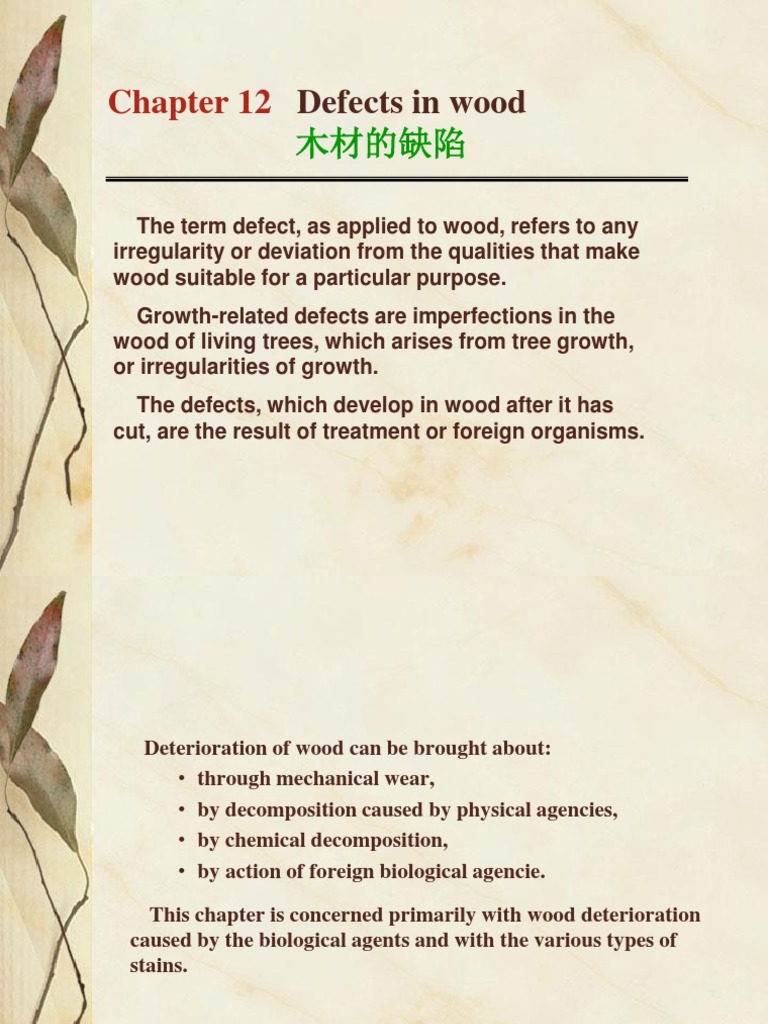 Forest | PDF | Wood | Decomposition