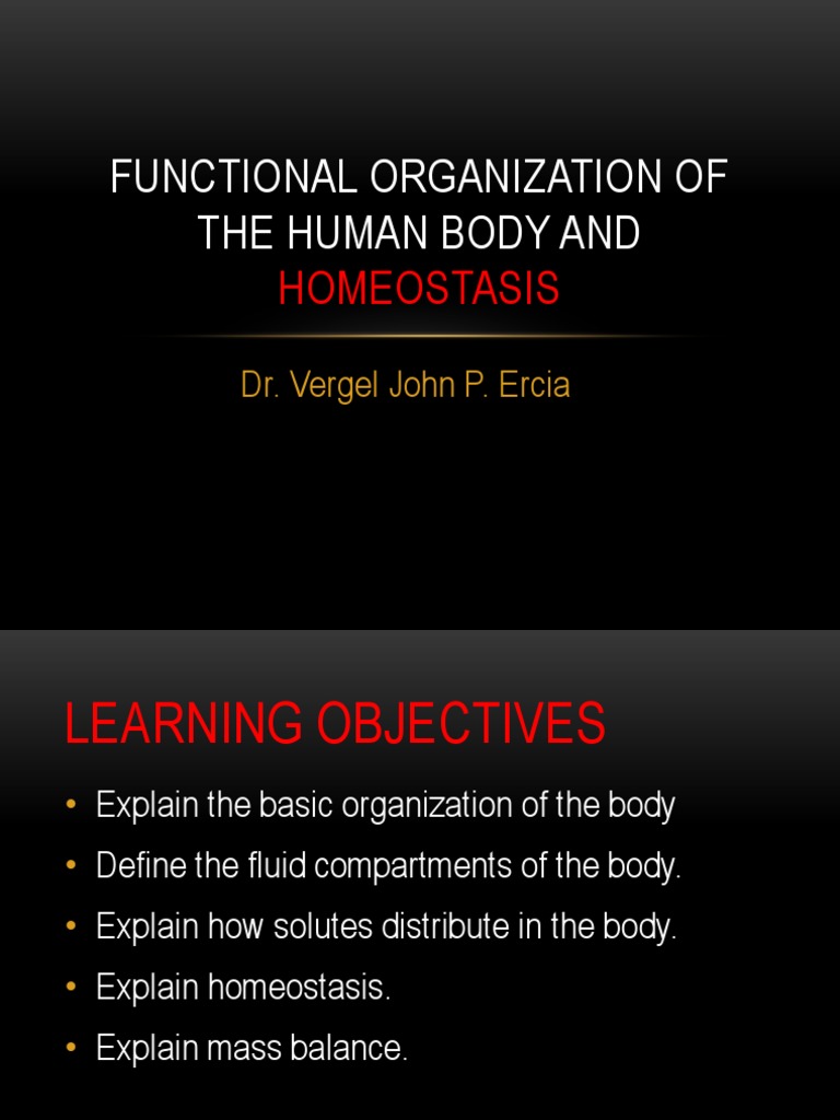 Human Body & Homeostasis Basics | PDF | Self-Improvement | Wellness