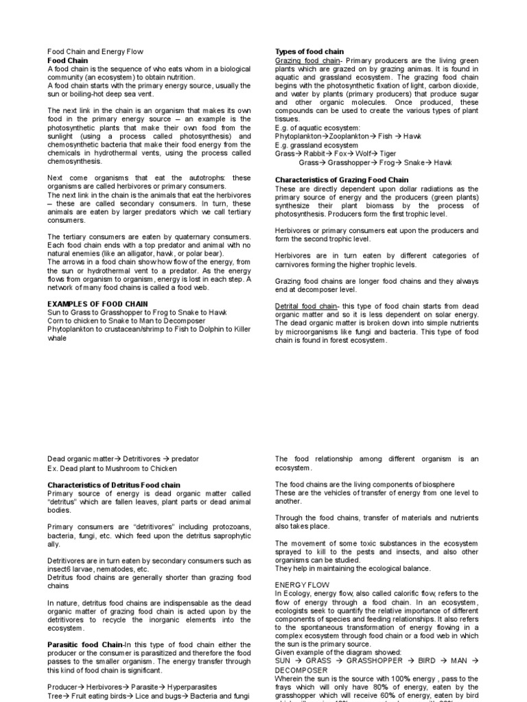 Food Chain and Energy Flow | PDF | Food Web | Ecosystem