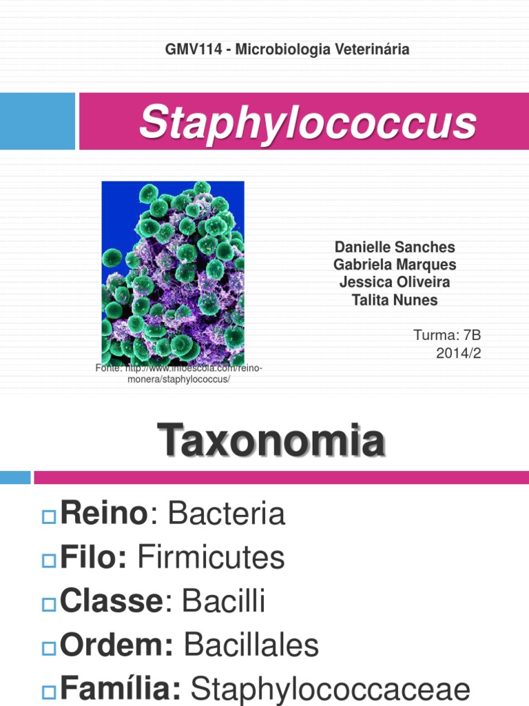 Staphylococcus