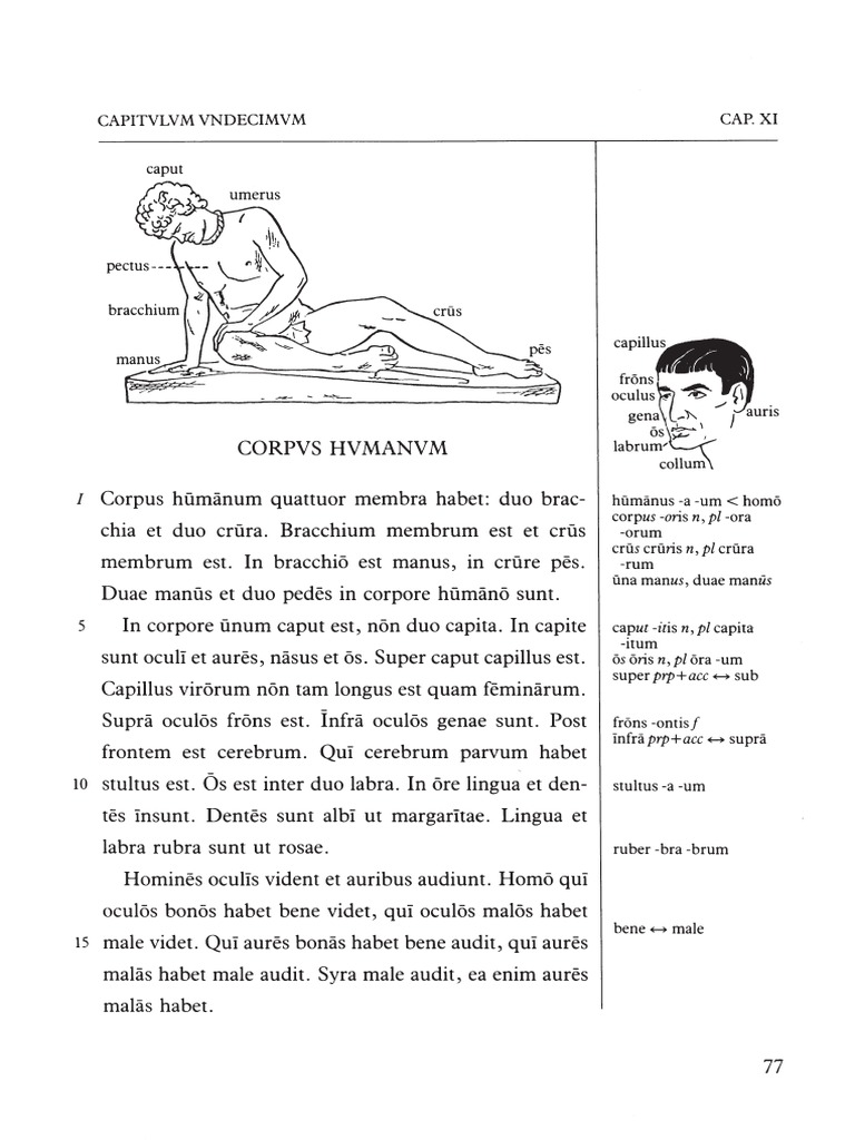 Corpus Humanum | PDF