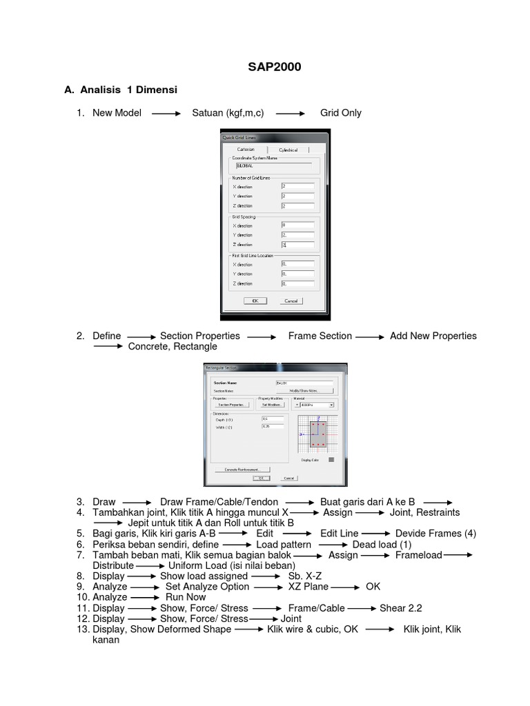 SAP2000 1D and 2D Analysis Guide | PDF