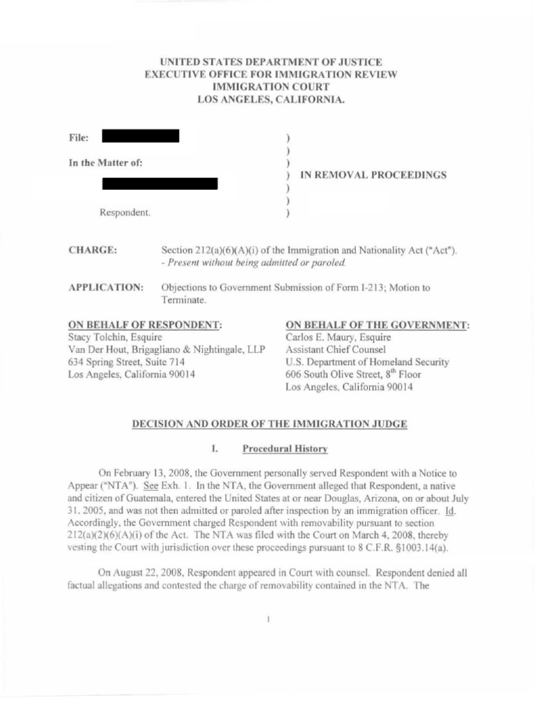 Immigration Court Removal Case | PDF | Removal Proceedings | Evidence