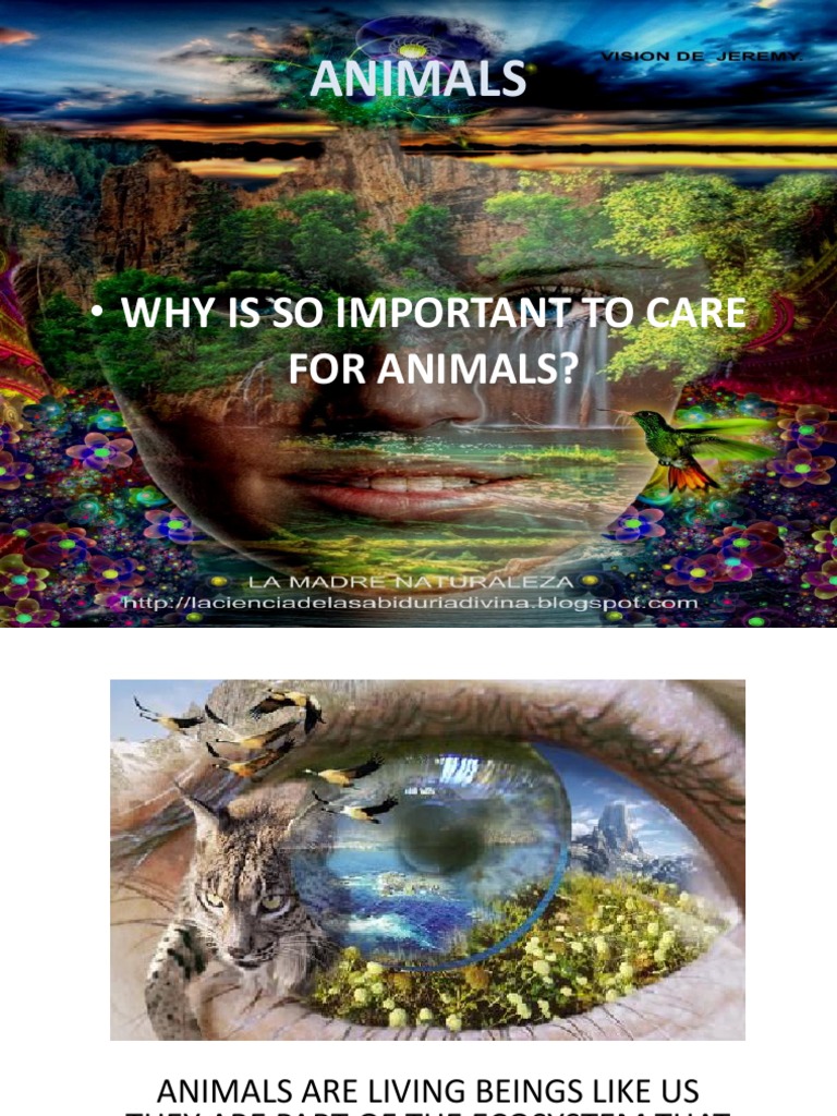 Importance of Caring for Animals | PDF
