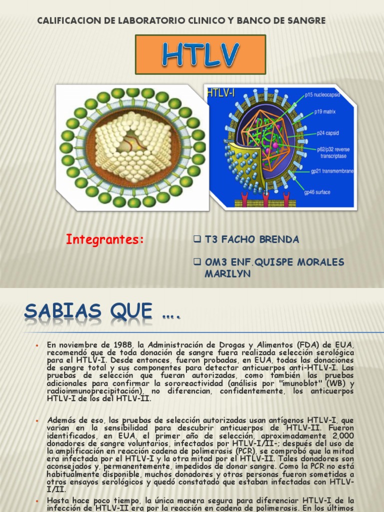 HTLV Expo | PDF | Retrovirus | Virología
