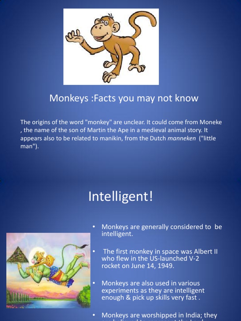 Monkeys:Facts You May Not Know | PDF