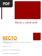 Anatomía y Fisiología Anorrectal | PDF | Recto | Sistema digestivo