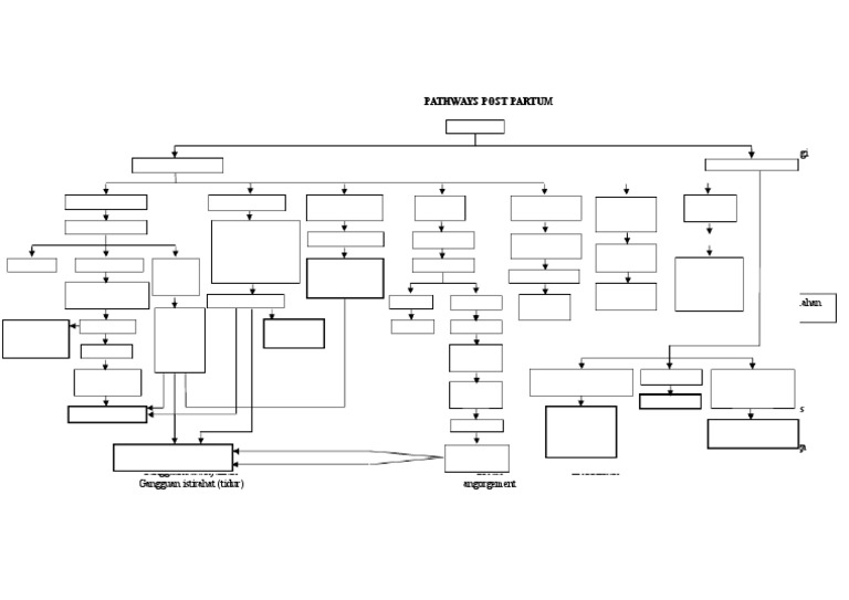 Pathway Postpartum | PDF