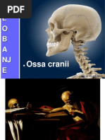1 1 Anatomija Glave I Vrata | PDF