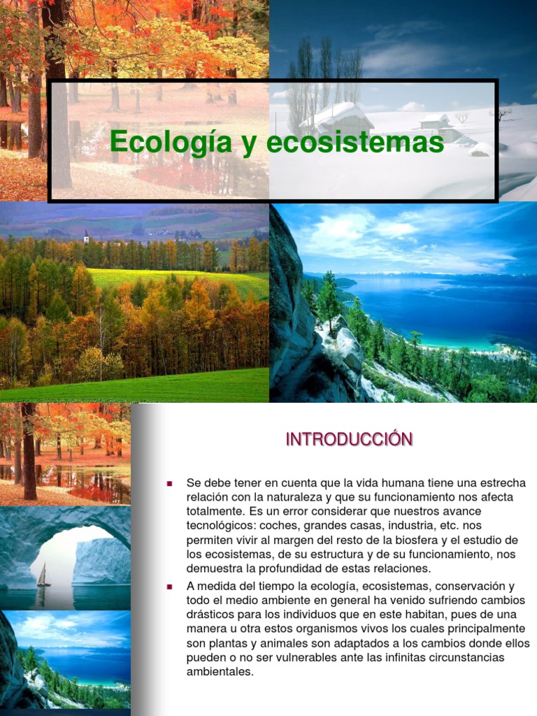 Ecologia y medio ambiente presentacion.ppt | Ecosistema | Naturaleza
