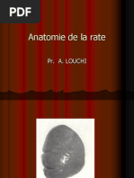 Anatomie de la Loge Rénale et Surrénales | PDF | Péritoine | Rein