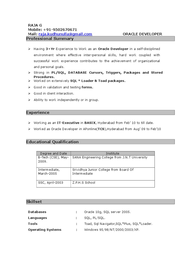 Oracle Database Developer CV | PDF | Oracle Database | Pl/Sql
