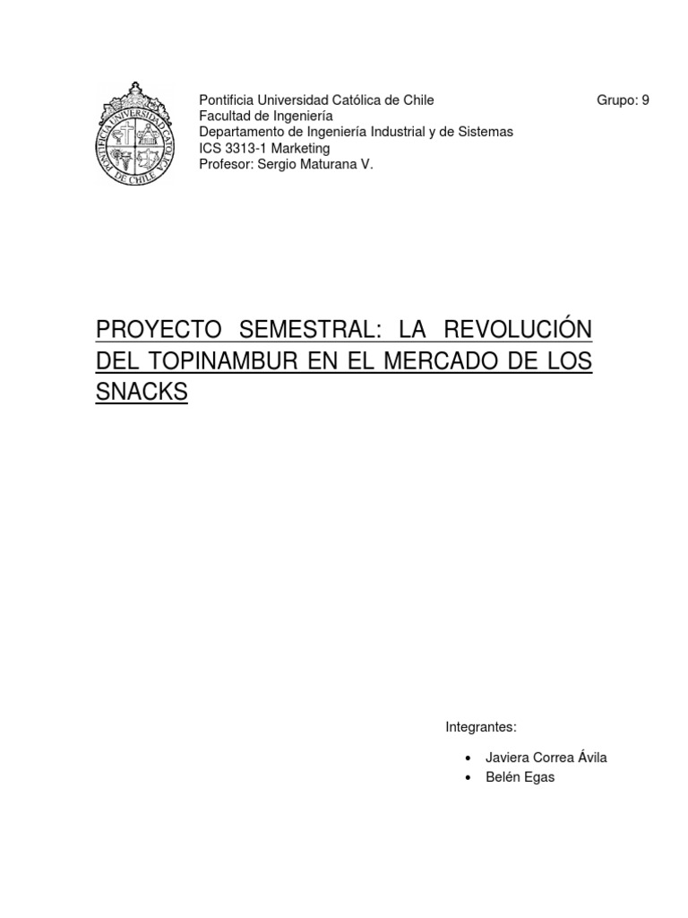 Informe Proyecto Semestral | PDF | Producto (Negocio) | Mercado (economía)