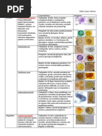 Metodo de Stoll | PDF | Anatomia animal | Naturaleza