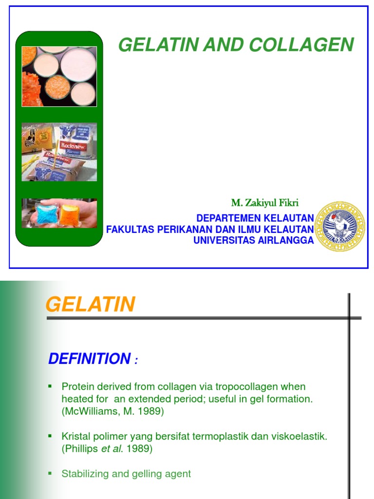 Gelatin and Collagen: Structure and Uses | PDF | Gelatin | Collagen