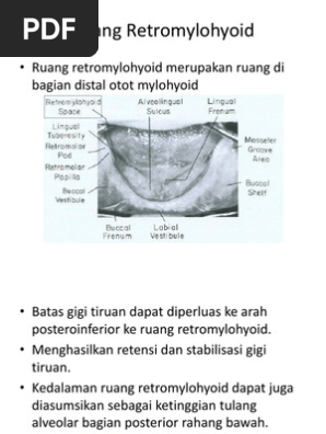 Retromylohyoid Space