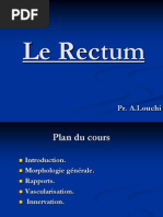Anatomie des reins et leur vascularisation | PDF | Rein | Foie