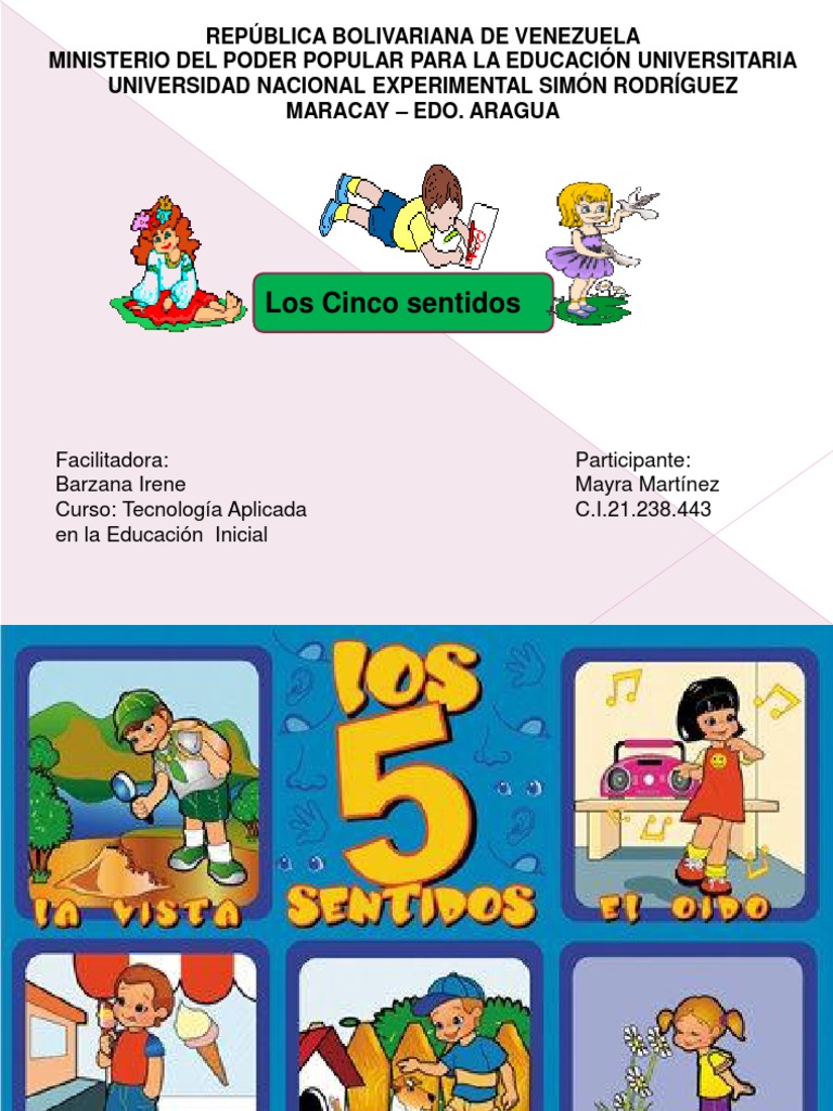 Los 5 Sentidos para Niños | PDF
