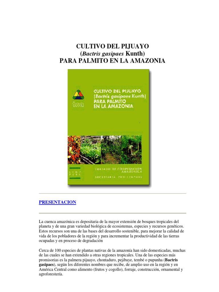 Cultivo Del Pijuayo | PDF | Flores | Tallo de la planta