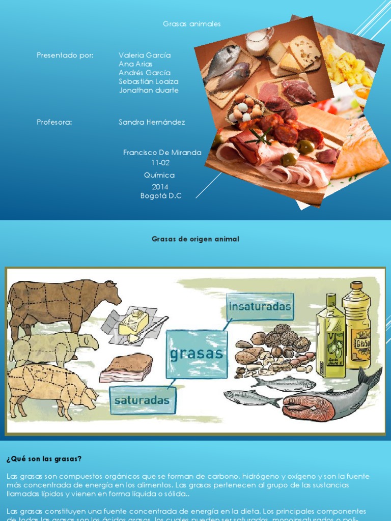 Grasas Animales: Tipos y Funciones | PDF | Lípido | Petróleo