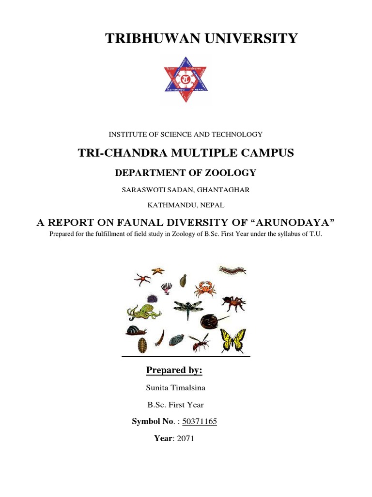 Zoology Report 1st Year - 1 | PDF | Invertebrate | Biodiversity