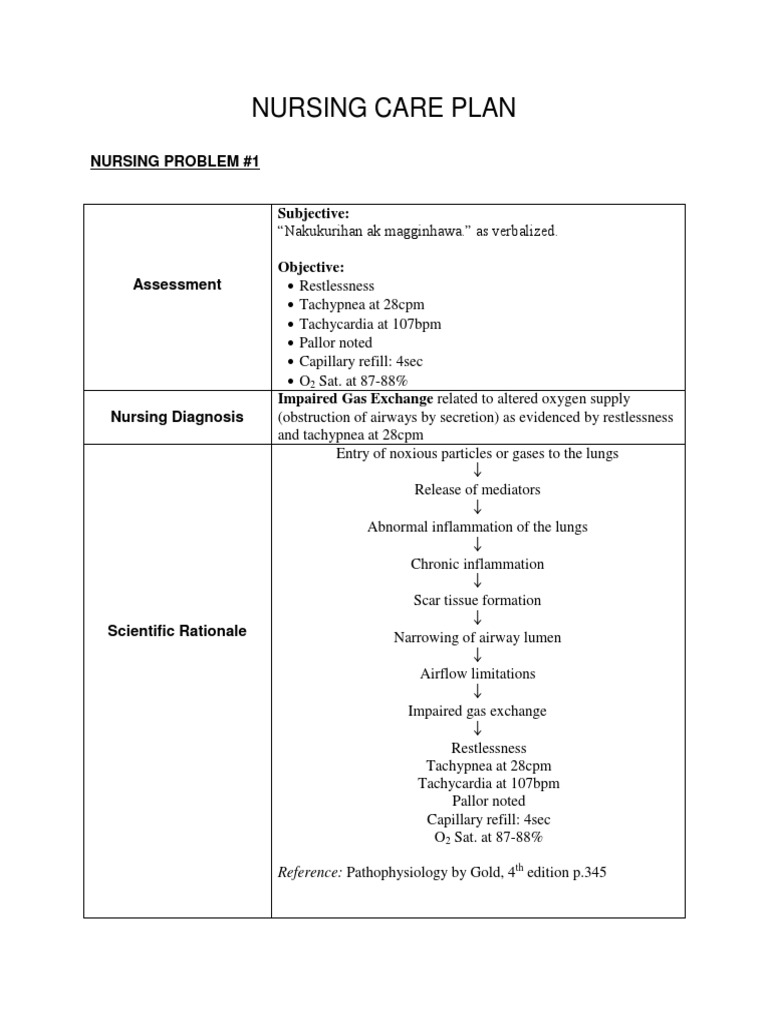 Nursing Care Plan | PDF | Breathing | Respiratory Tract