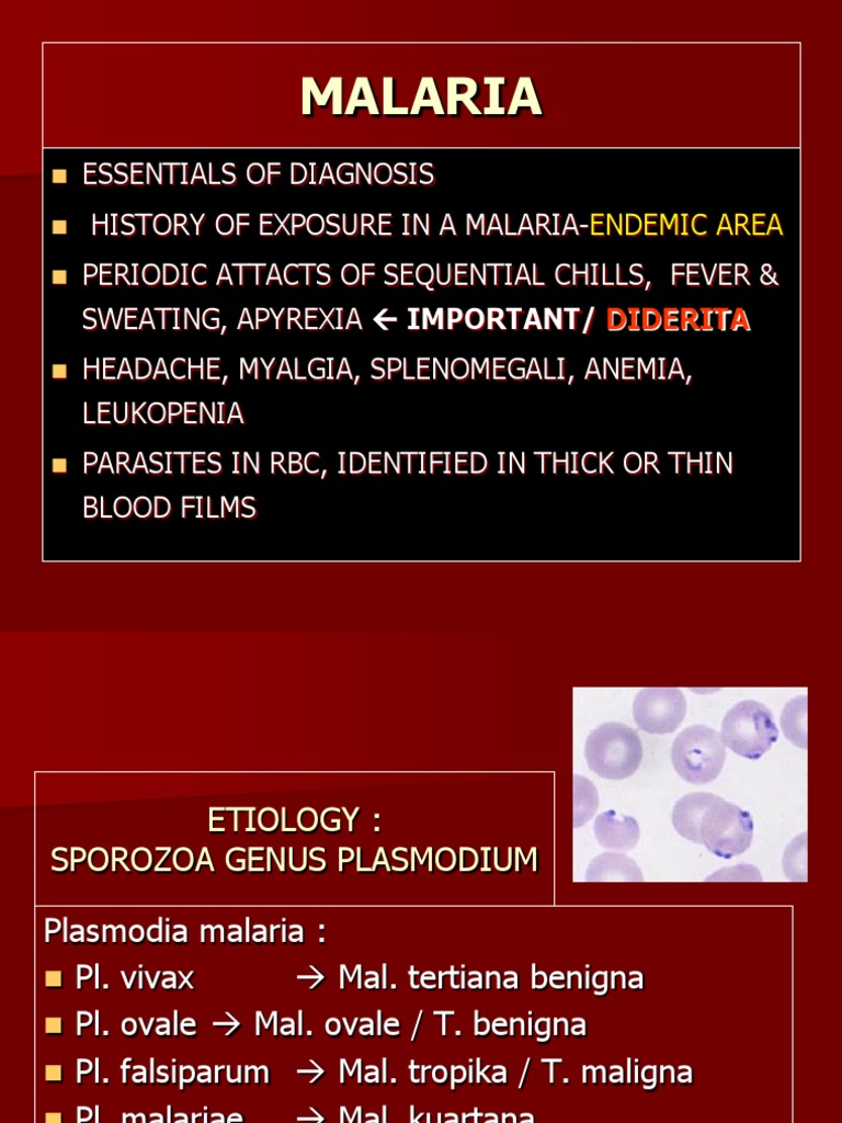 Malaria | PDF