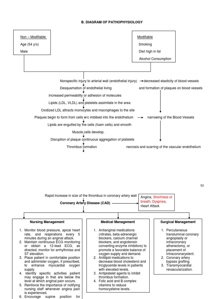 10 Pathophysiology Diagram | PDF | Angina Pectoris | Coronary Artery ...