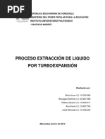 Proceso Selexol | PDF | Gas natural | Absorción (Química)