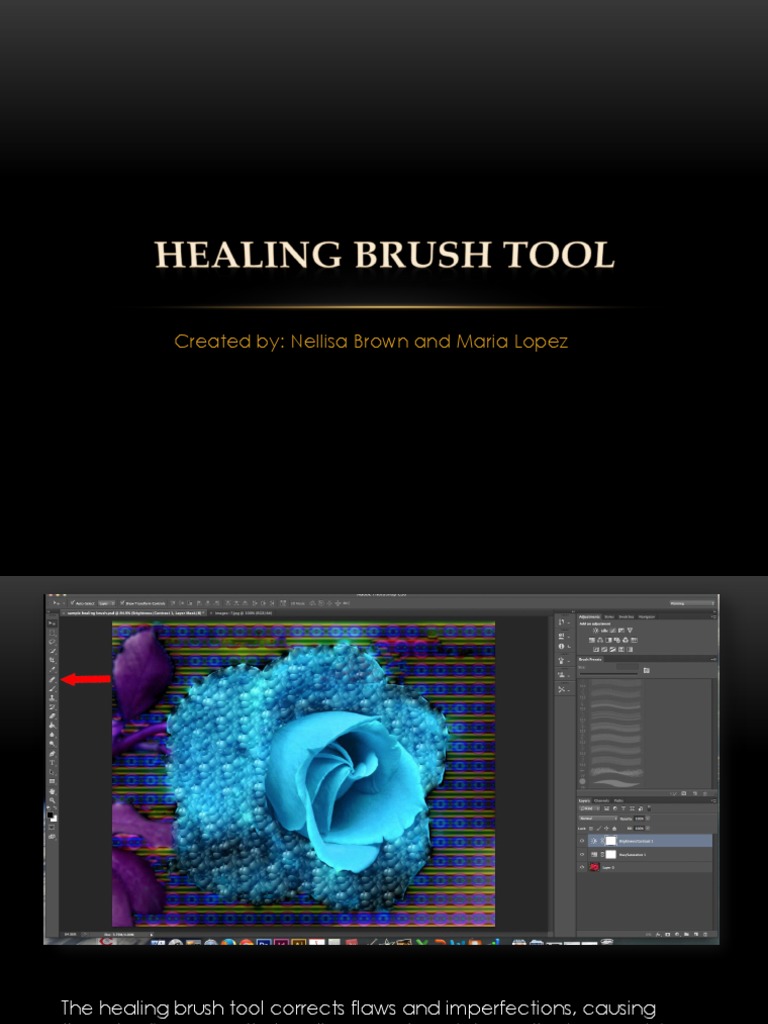 Healing Brush Tool for Image Retouching | PDF | Home & Garden