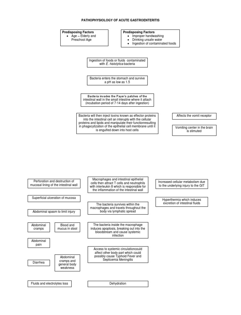 Pathophysiology of Acute Gastroenteritis