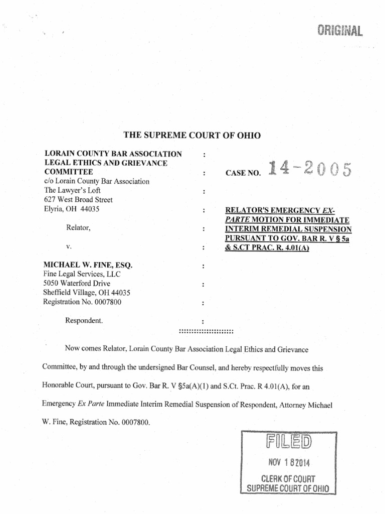 Michael Fine Disciplinary Complaint | PDF | Lawyer | Testimony