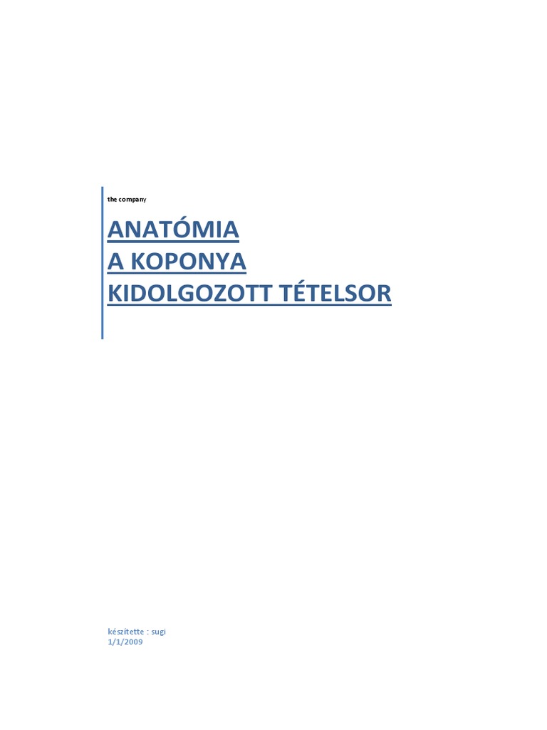 Anatómia Koponya by Sugi | PDF
