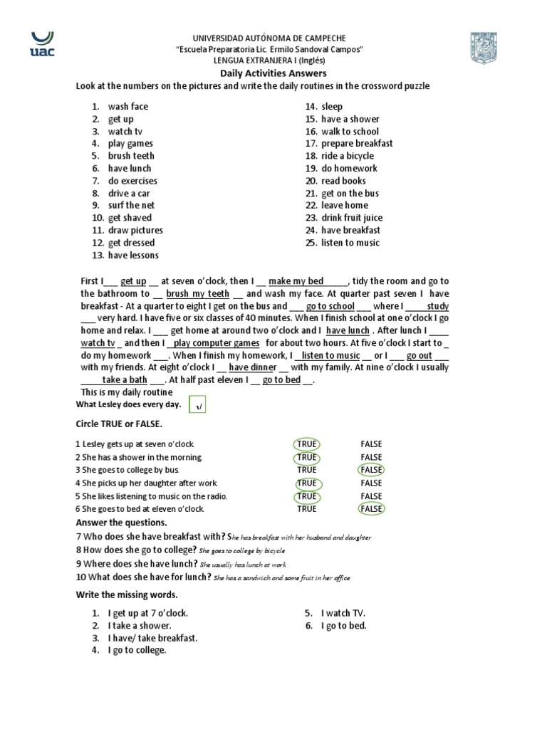 Daily Routine Activities Worksheet | PDF