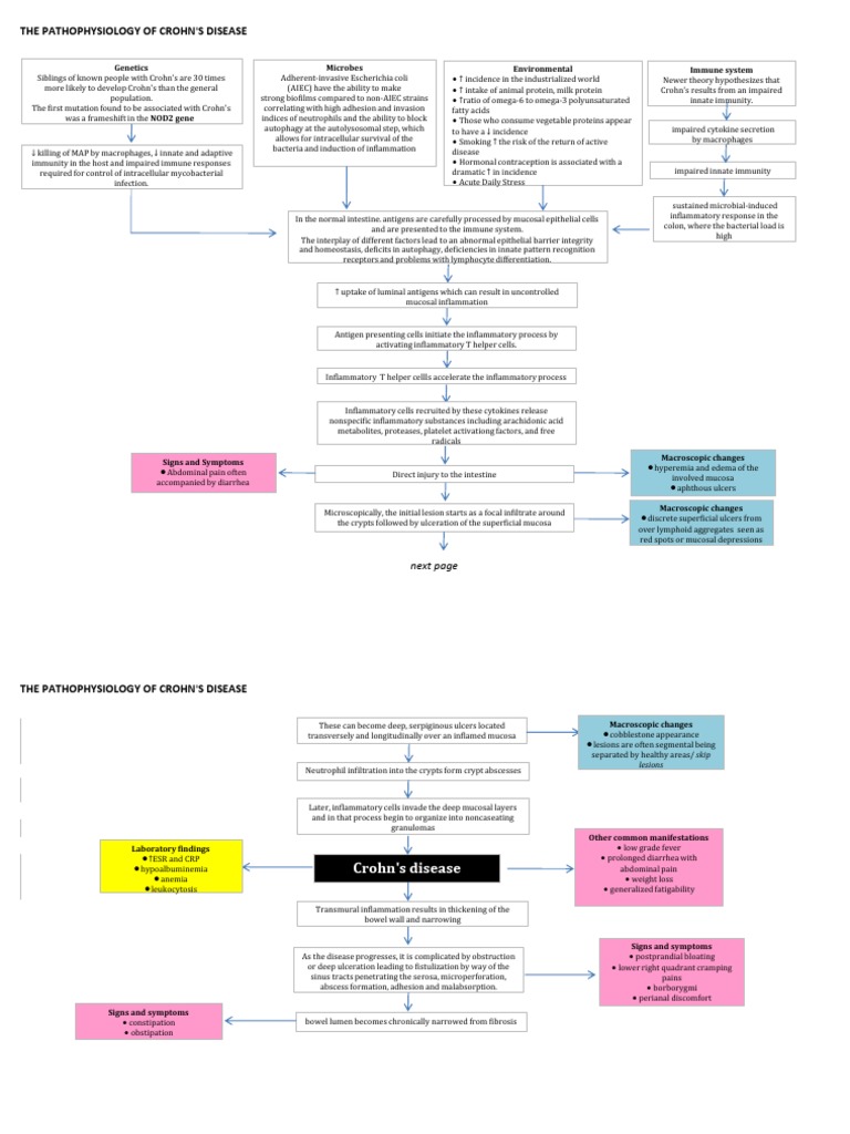 CROHNS | Crohn's Disease | Innate Immune System