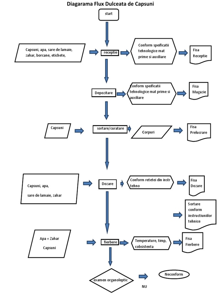 Diagrama Flux Ddulceata de Capsuni | PDF