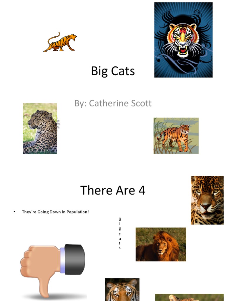 Big Cats Powerpoint | PDF
