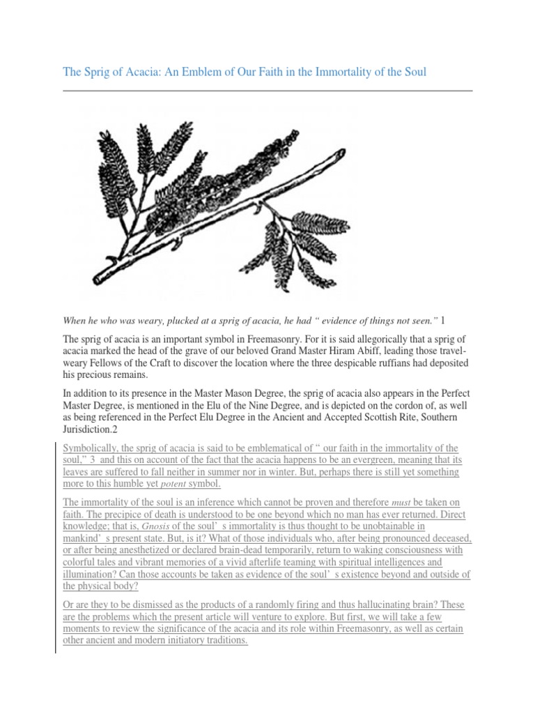 The Sprig of Acacia | PDF | Freemasonry | Entheogen