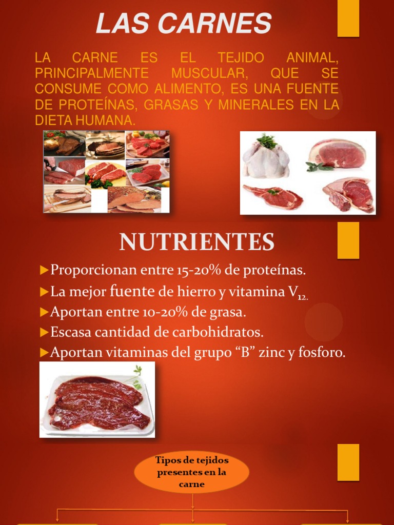 Tipos y Nutrientes de las Carnes | PDF | Carne | Músculo